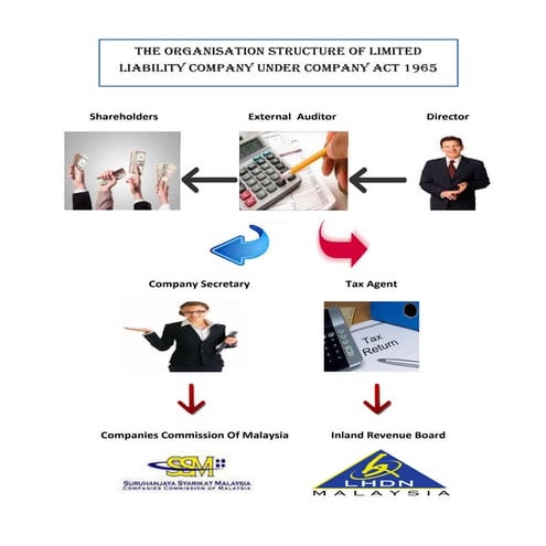 Compare Structure between LLC vs LLP | PDF | Business Accounting ...