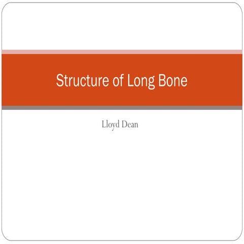 Structure of long bone | PPT