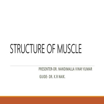 Sliding filament theory muscle contraction | PPT