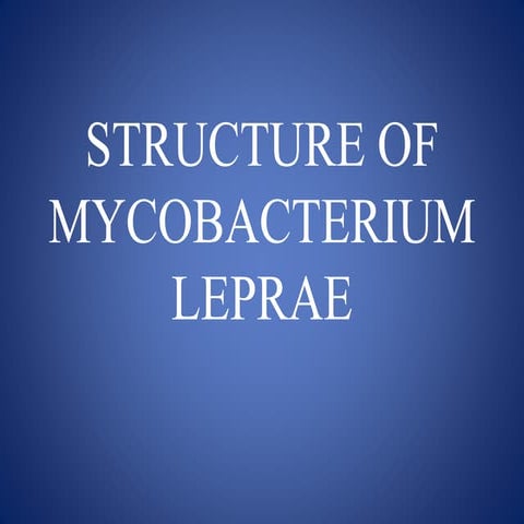 Structure of mycobacterium leprae | PPTX