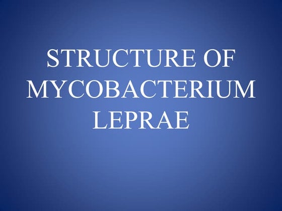 Mycobacterium leprae | PPT | Infectious Diseases | Diseases and Conditions