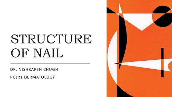 Nail structure | PPT
