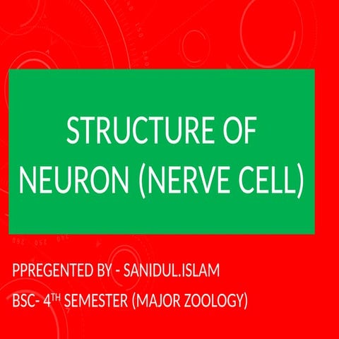 Structure of Neuron( nerve cell)ppt.pptx .Presented by sanidul islam | PPT