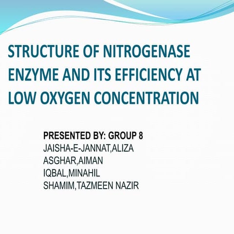 STRUCTURE OF NITROGENASE enzyme group 8 ppt.pptx