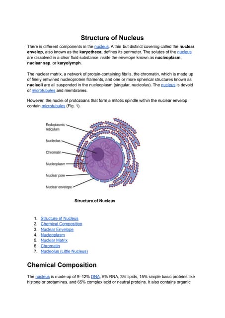 STRUCTURE AND ORGANIZATION OF CHROMATIN | DOC