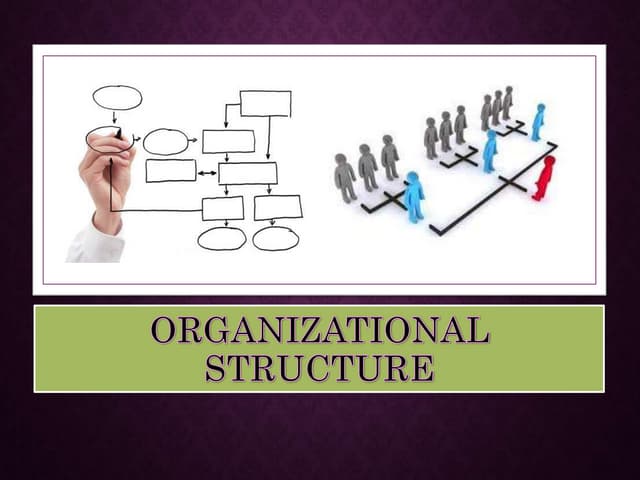 Organizational structure NURSING | PPTX