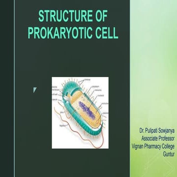 Structure of Prokaryotic Cell | PPTX