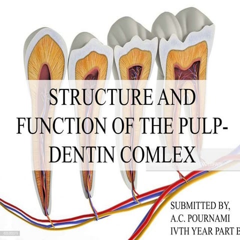 Structure and function of of Pulp-Dentin complex | PPT