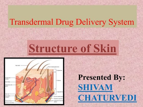Skin anatomy | PPT