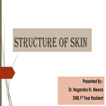 Structure of Skin | Layers of Skin | PDF