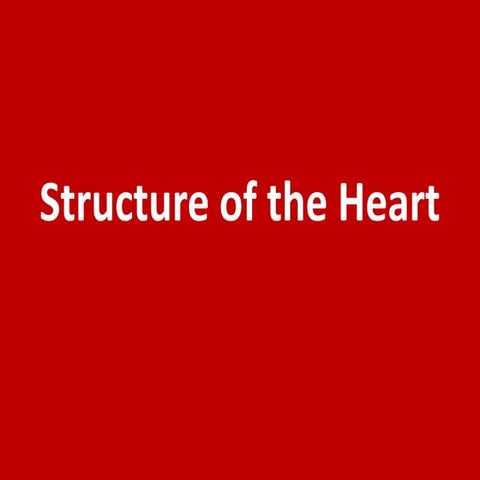 Structure of the Heart | PPT