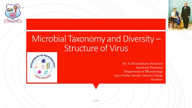 Structure Of Tmv And Bacteriophage Ppt