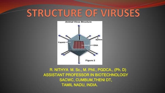 Bacteriophages | PPTX