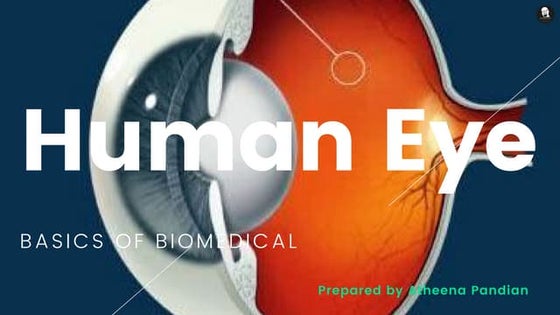 Structure and Function of the Eye | PPT