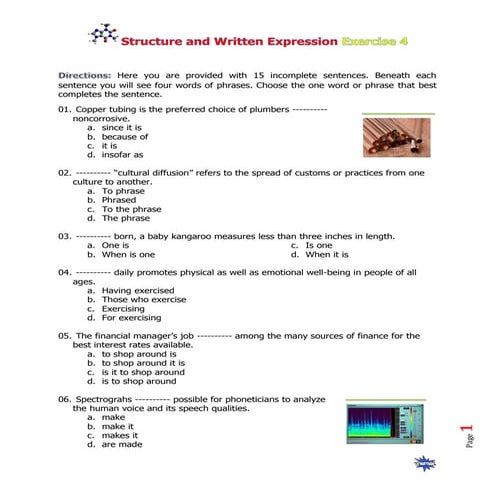Structure & Written Expression Practice 4 | PDF
