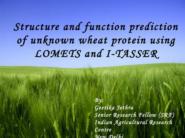 Structure And Function Prediction Of Unknown Wheat Protein Using Lomets