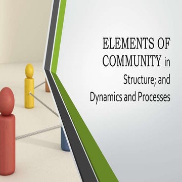 structures of community CESC SHS HUMMSSS | PPTX