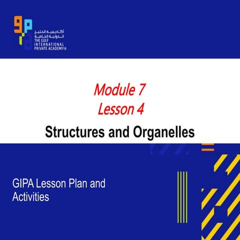 structures and organelles lesson 4.2.pptx
