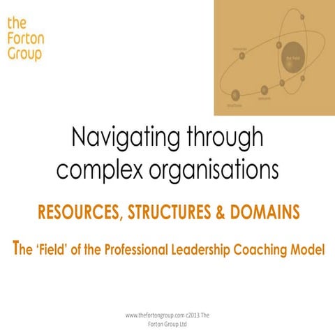 The Field: navigating through complex organisations | PPT