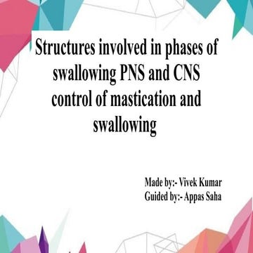 Structures involved in phases of swallowing PNS and CNS.pptx