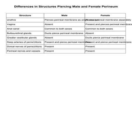 Structures_Piercing_Perineum_Male_vs_Female.pdf