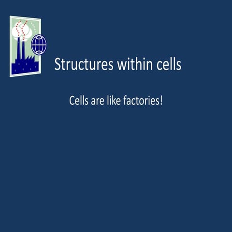 Structures within cells power point | PPT
