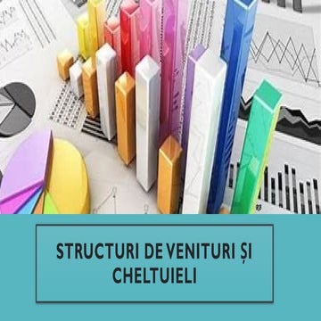 Structuri de venituri si cheltuieli | PPTX