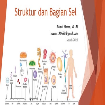 Struktur dan bagian sel | PPTX