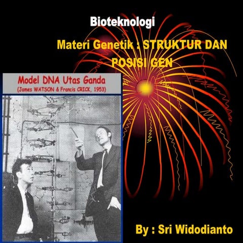 Struktur dan posisi gen | PDF