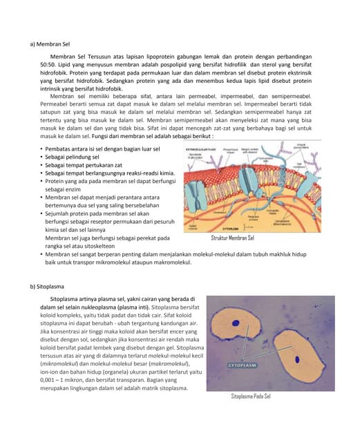 Struktur dan fungsi sel | PDF
