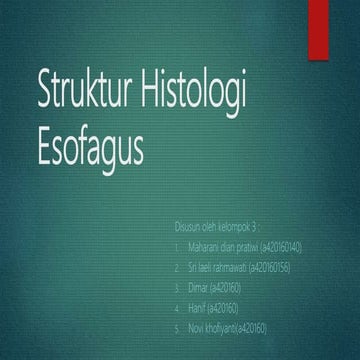 Struktur histologi esofagus | PPTX