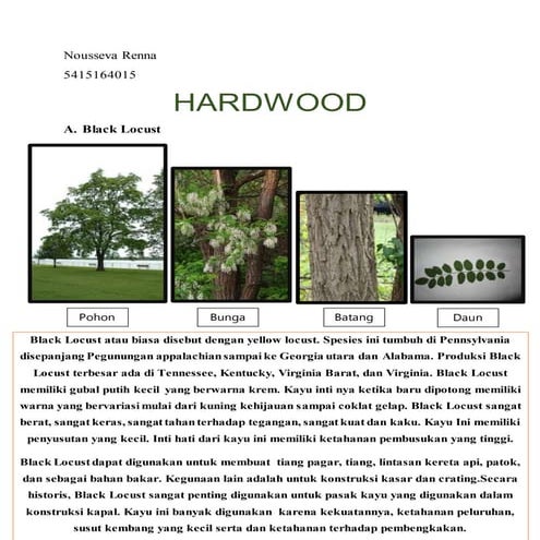Struktur kayu ii hardwood and softwood | PDF