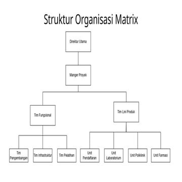Struktur Organisasi Matrix sistem rumah sakit.pptx