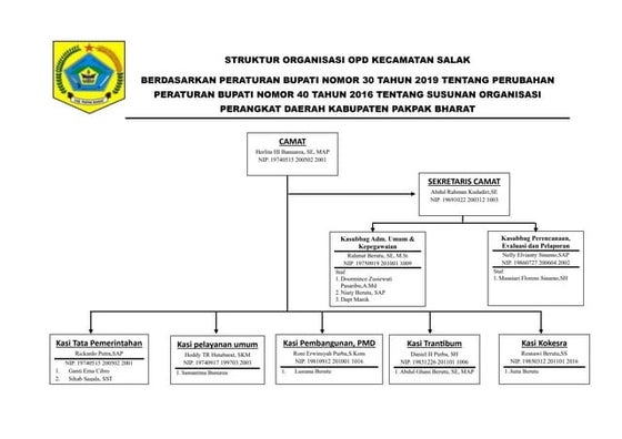 STRUKTUR ORGANISASI OPD KECAMATAN SALAK.pdf