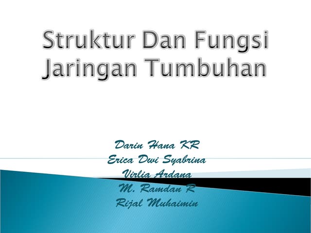 Struktur tumbuhan | PPTX