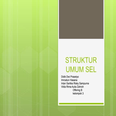 Cell Structure | PPTX