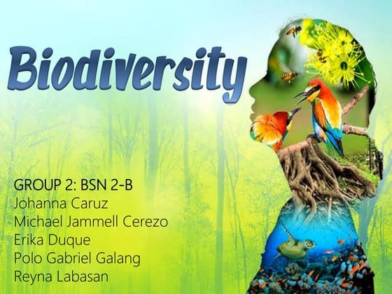 Biodiversity and stability | PPT