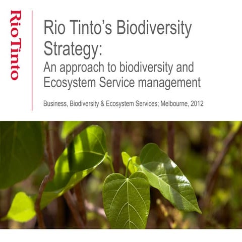 Stuart Anstee, Rio Tinto - Presentation - UNAA Vic Natural Capital ...