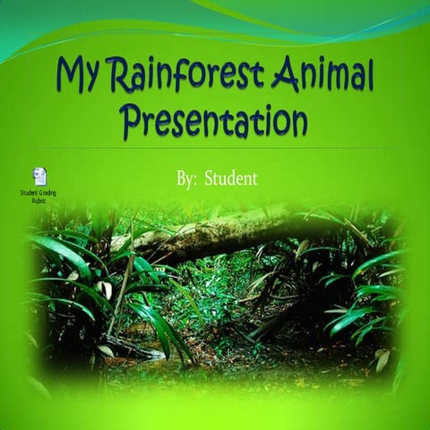 Student powerpoint my rainforest animal presentation 1 | PPTX