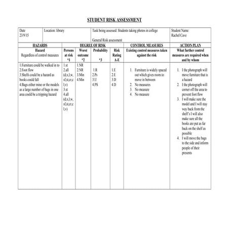 Student risk assessment | DOCX