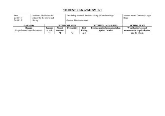 Student risk assessment- theatre | DOC