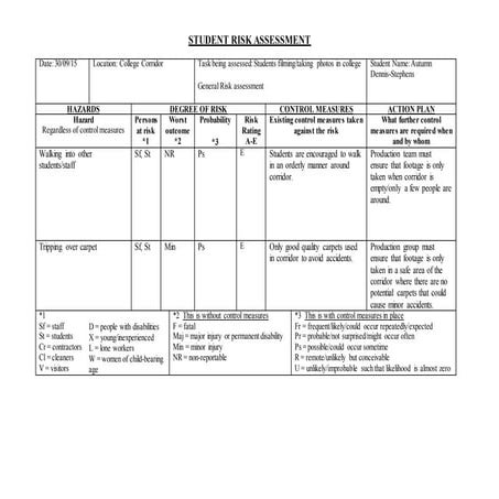 Student risk assessment | DOCX