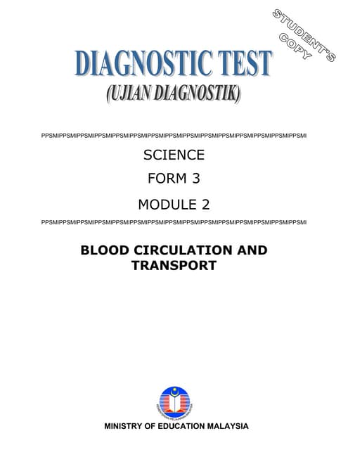 The Circulatory System Worksheet.pdf | Heart and Cardiovascular ...