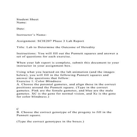 Student SheetNameDateInstructor’s NameAssignment.docx