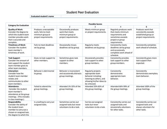 PEER EVALUATION form for ergonomics and facility planning | DOCX