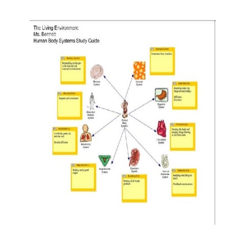 DNA Study Guide | PPT