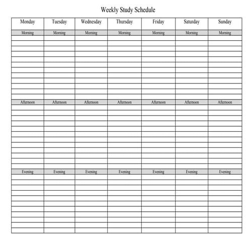 study-plan-template-01.docx