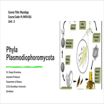 Myxomycotina | PPTX