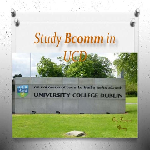 Study Bcomm in UCD | PPTX