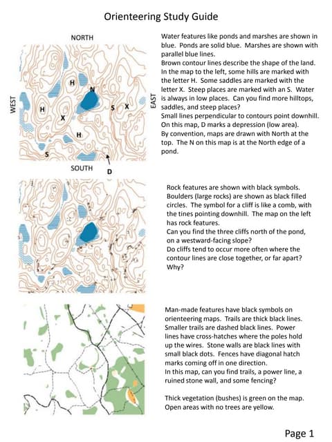 Contours in orienteering maps